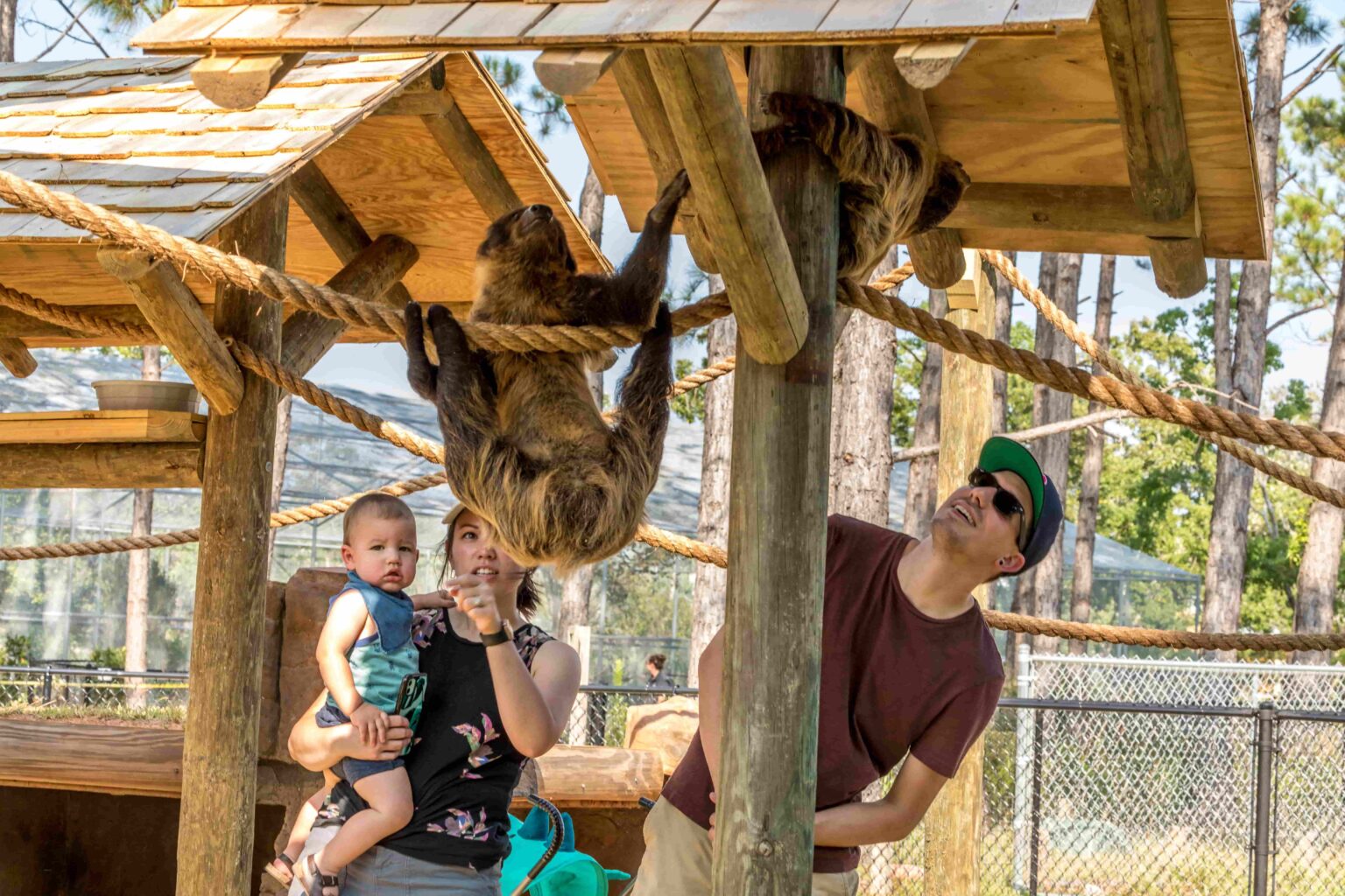 Learn With Us - AL Gulf Coast Zoo