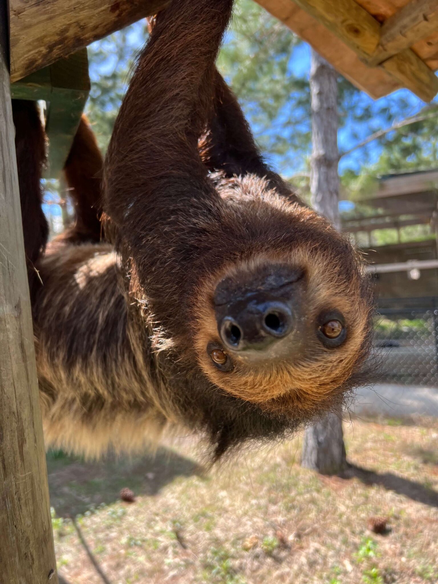 Home - AL Gulf Coast Zoo