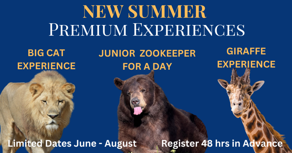 Premium Animal Experiences - AL Gulf Coast Zoo