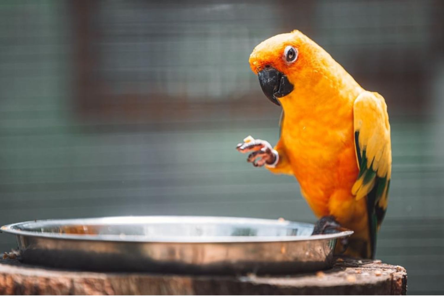 Learn With Us - AL Gulf Coast Zoo